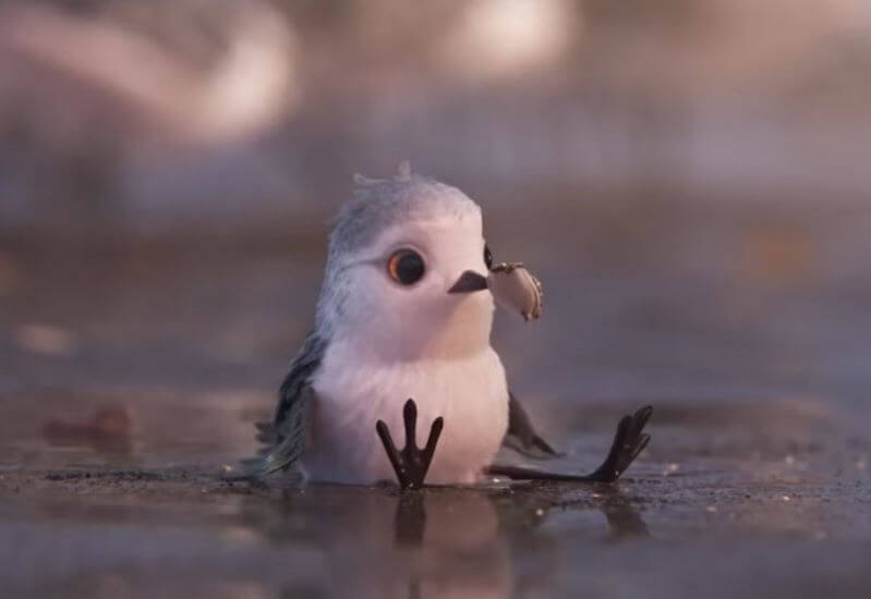 Piper, uno de los cortos más bonitos y entrañables de Disney - La Mente ...