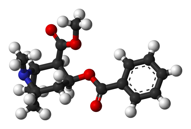 Cocaína: tipos y efectos - La Mente es Maravillosa