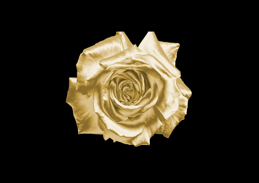 El secreto de la flor de oro: el libro chino sobre la meditación