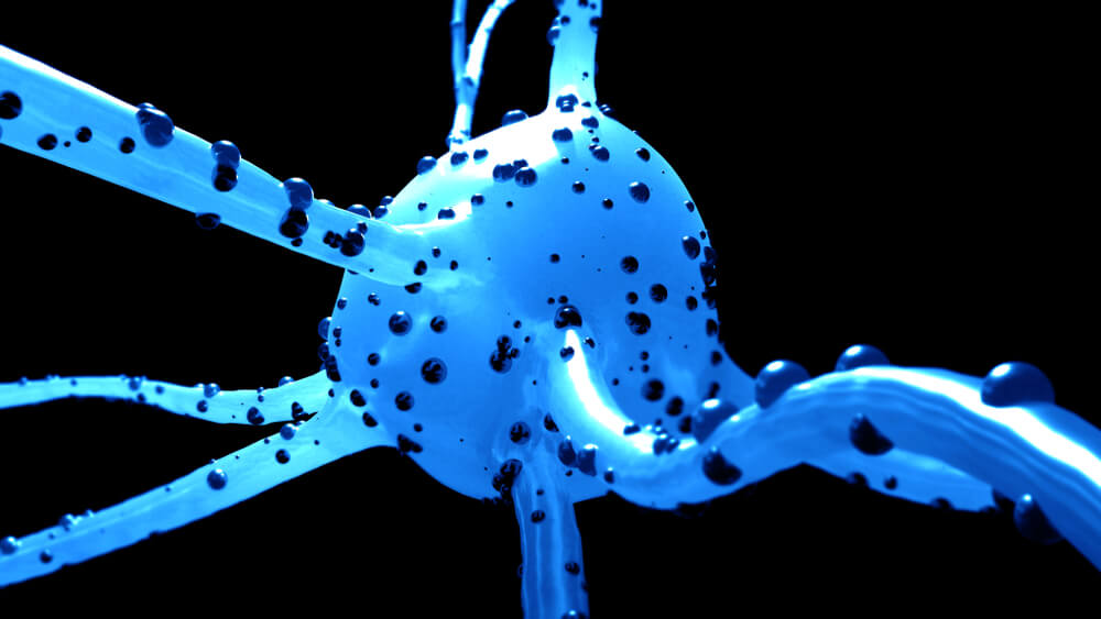 ¿Qué es la neurogénesis? - La Mente es Maravillosa