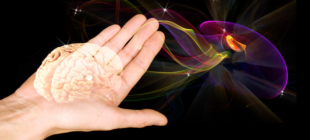 Cómo se manifiesta el inconsciente en la vida cotidiana - La Mente es ...