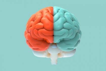 ¿Qué son los neuromitos? - La Mente es Maravillosa