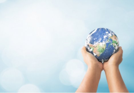 Cuáles son los valores ambientales - La Mente es Maravillosa