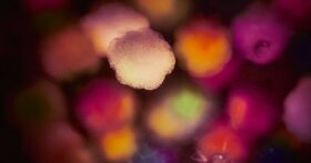 Etanolamina, la molécula clave en la aparición de la vida