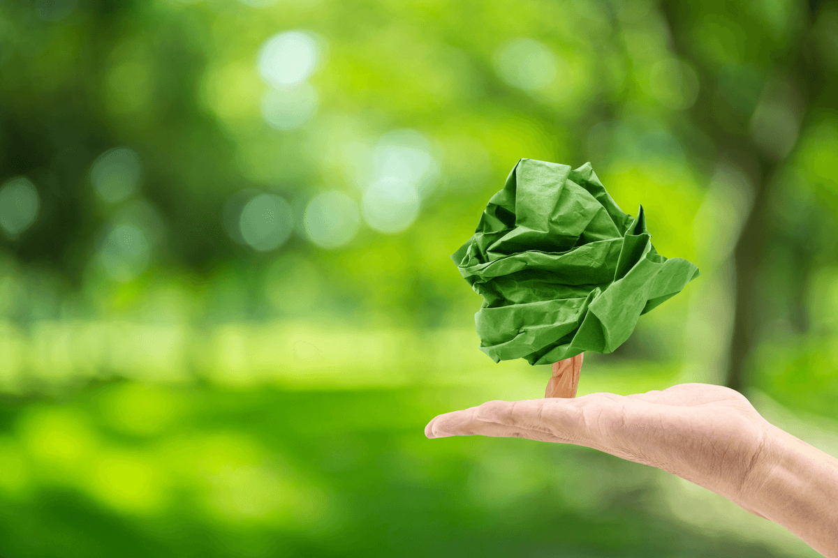 ¿Qué significa el color verde en psicología? - La Mente es Maravillosa
