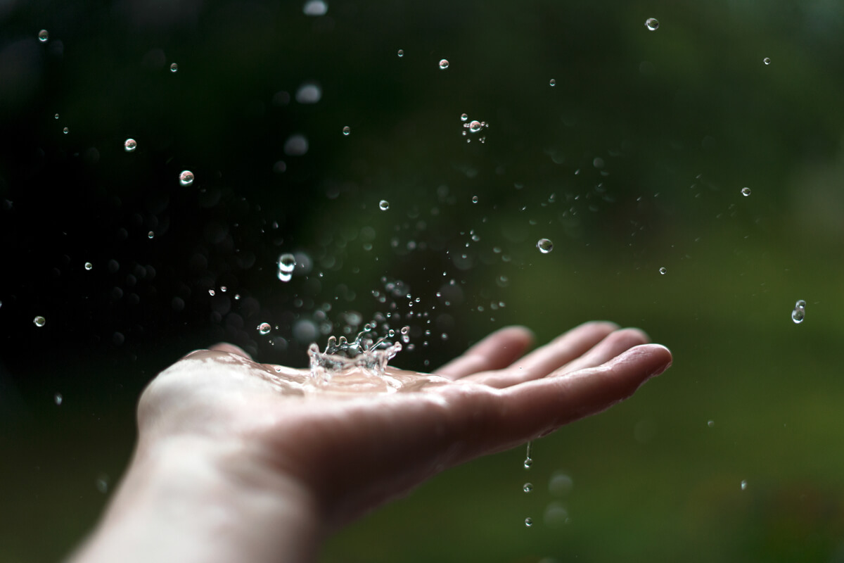 Pluviofilia: una especial fascinación por la lluvia - La Mente es ...
