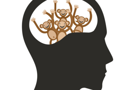 La mente del mono: qué es y cómo controlarla - La Mente es Maravillosa