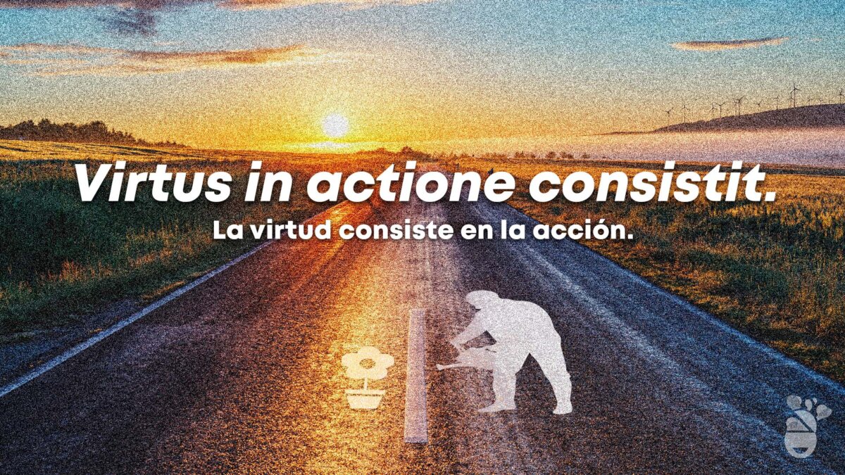 150 frases y proverbios en latín - La Mente es Maravillosa