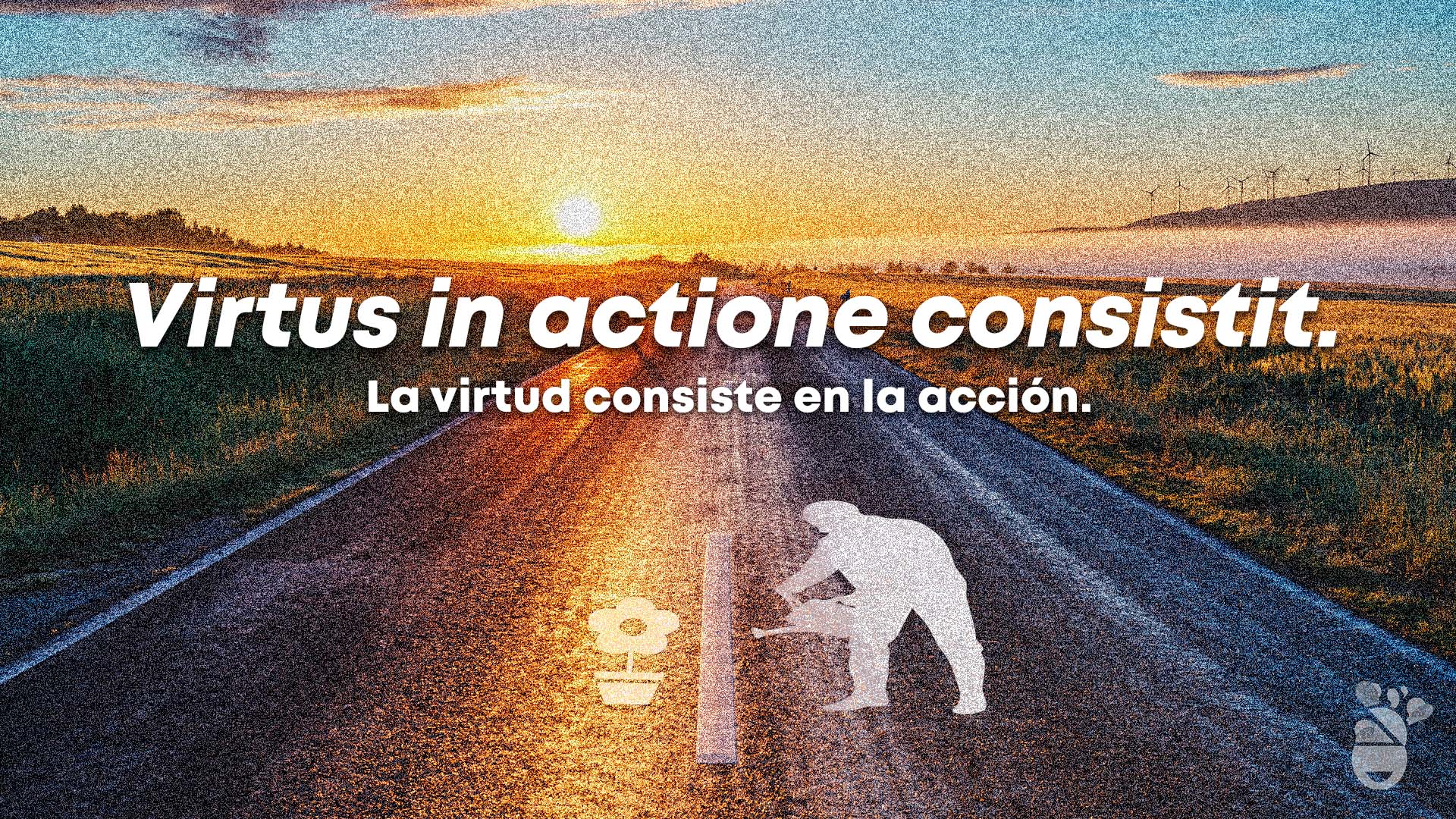 Las Latinas Son Las Mejores Frases Las 20 Expresiones Latinas Más